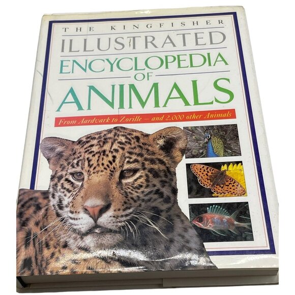 Kingfisher | Accents | The Kingfisher Illustrated Encyclopedia Of ...